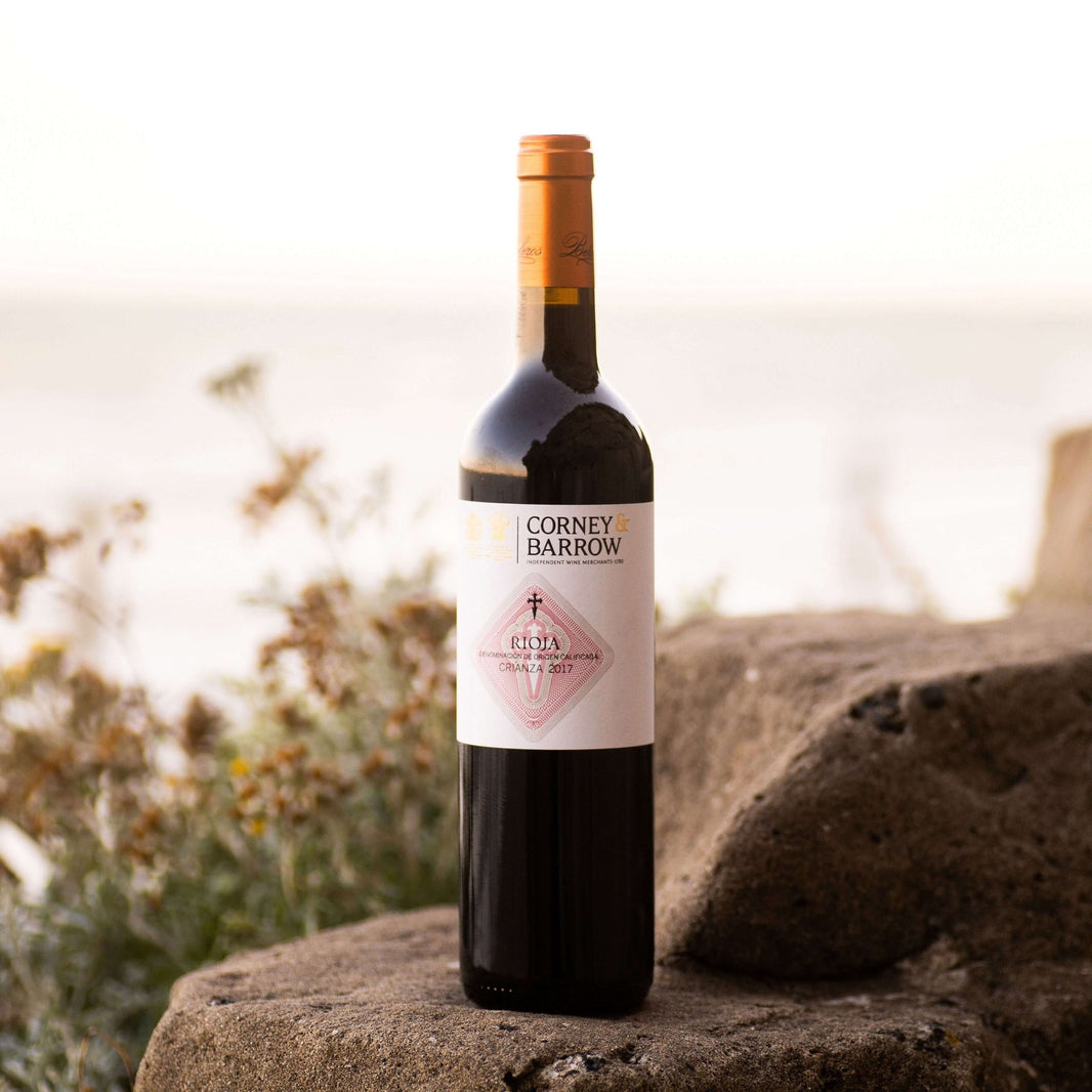 Corney & Barrow Wine Cellar – DukesHill